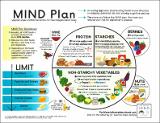 the MIND diet handout